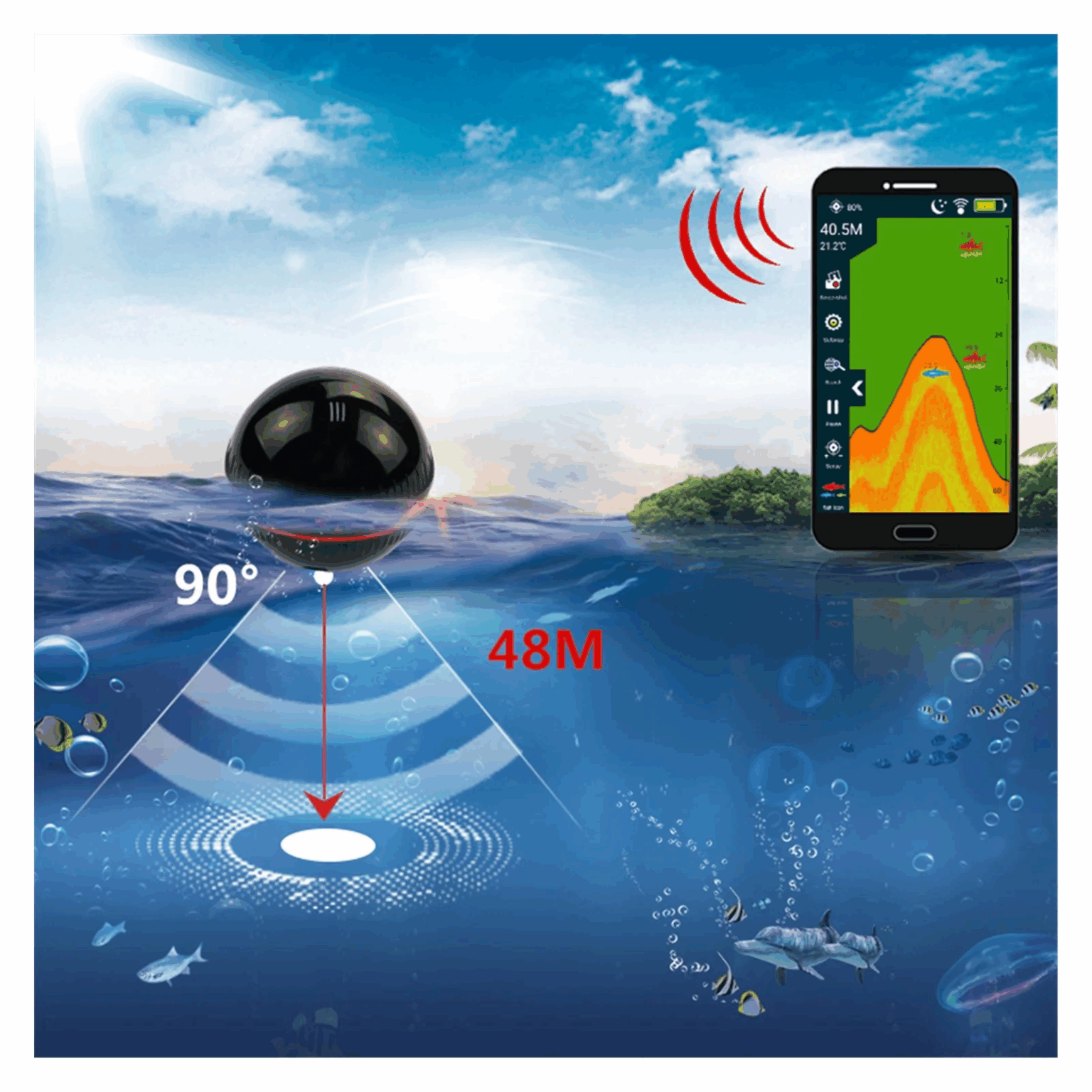 Catch More Fish with Our App